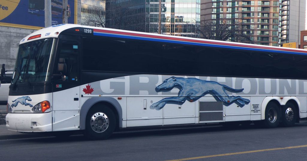 Greyhound in Western Canada | Pantonium