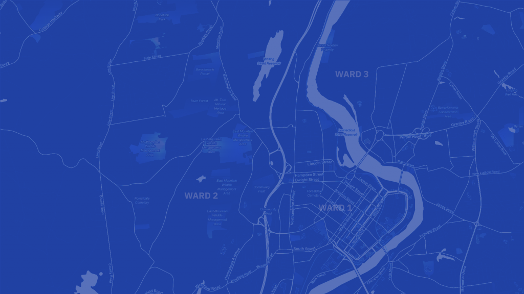 On-Demand Transit | Pantonium